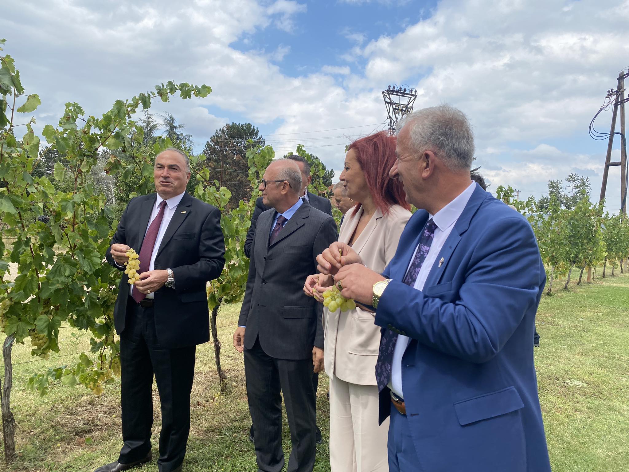 “Vjelja e Rrushit Kosova 2023” në Suharekë – Shahini: Vreshtaria, vlerë ...